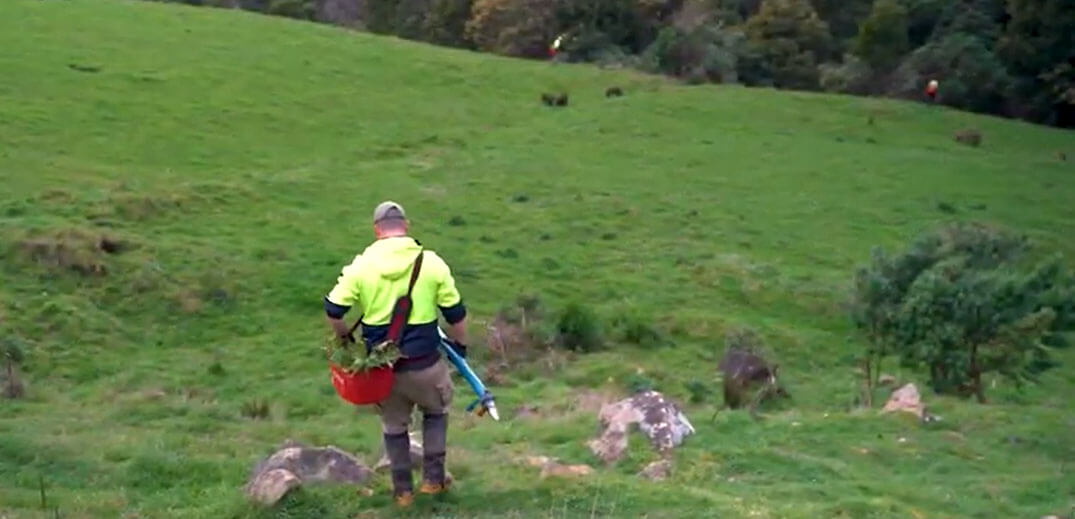 Nestlé is planting 10 million trees in Australia by 2025