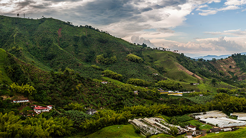 Sustainability | Nestlé Global