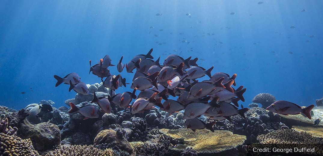 Nestlé invests in Ocean 14 Capital Fund | Nestlé Global