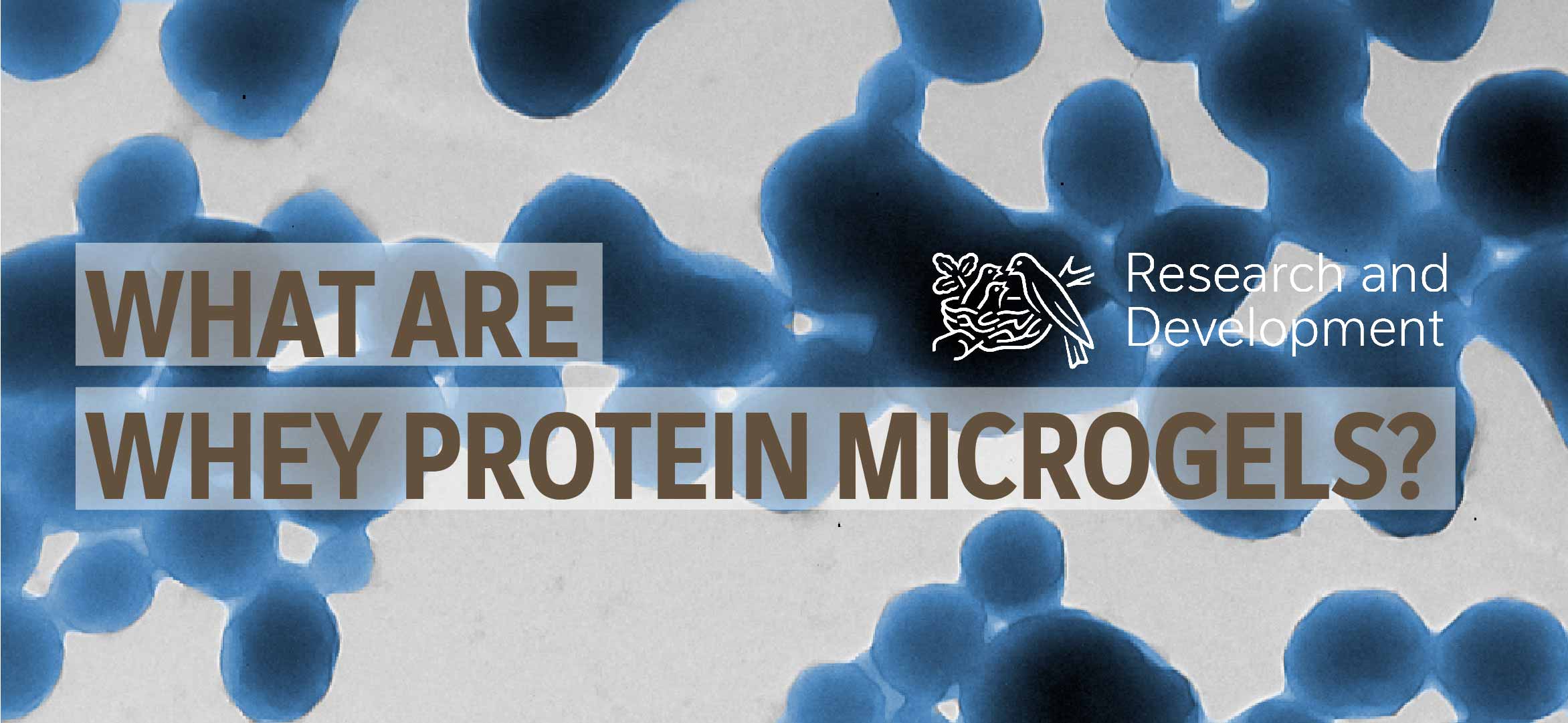 Nestlé’s protein expertise delivers weight management innovation