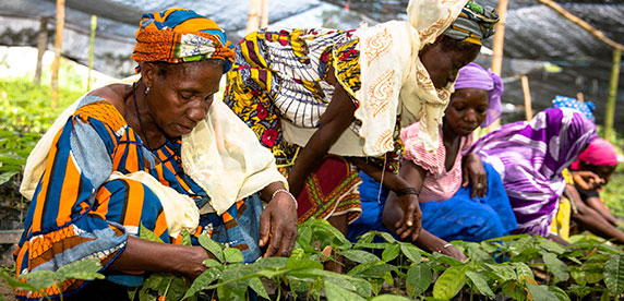 Nestlé joins CocoaAction | Nestlé Global