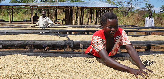 The Positive Cup: Nespresso reports sustainability progress | Nestlé Global