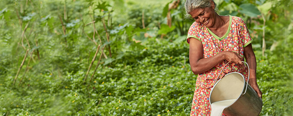 Life as a female dairy farmer | Nestlé Global