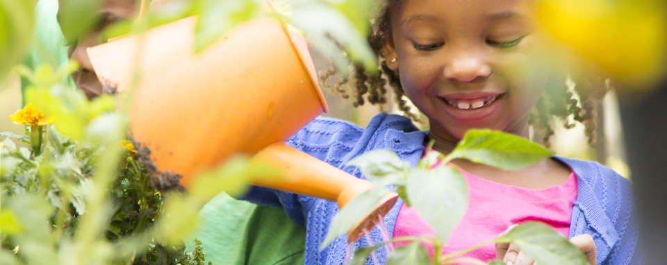 Grow your own: an easy way to get your kids to eat their greens