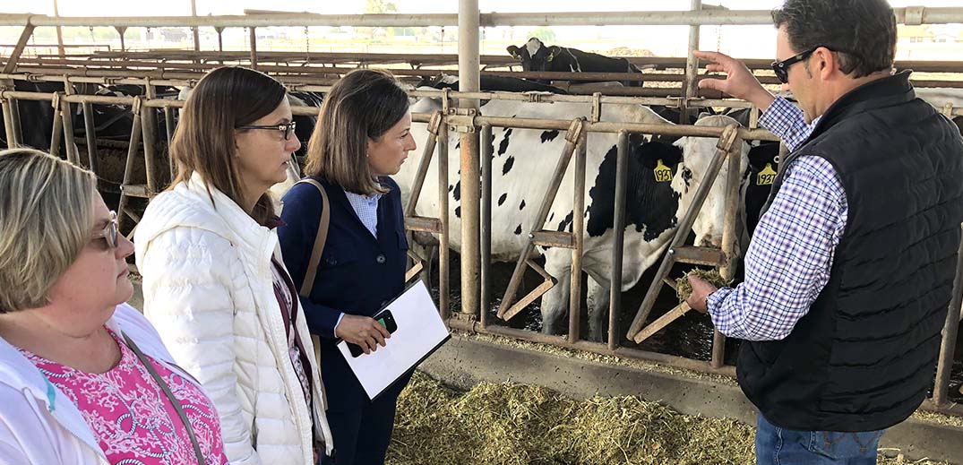 How climate action can start with our food systems | Nestlé Global