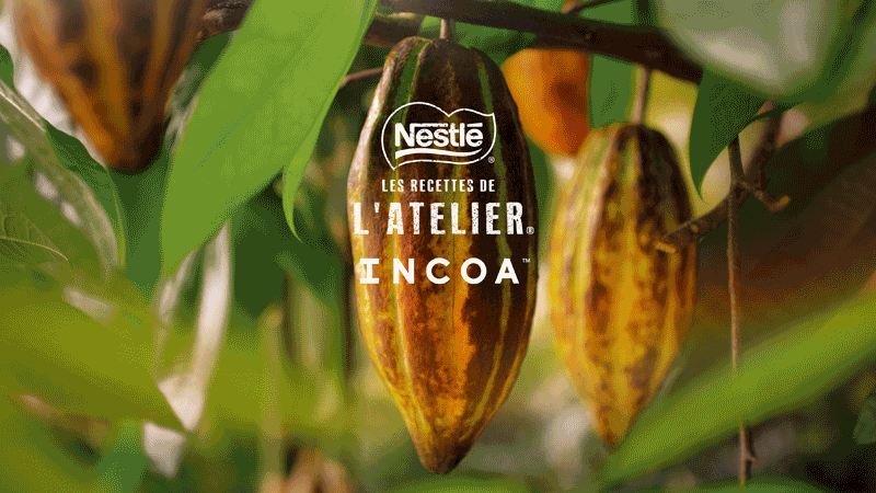 From premiumization to e-commerce | Nestlé Global