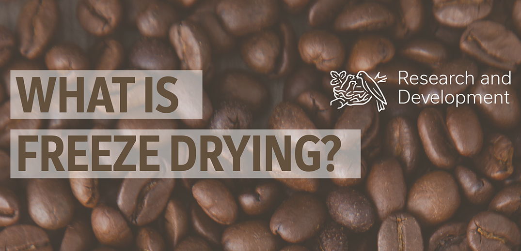 Unlocking premium cold coffee innovation | Nestlé Global