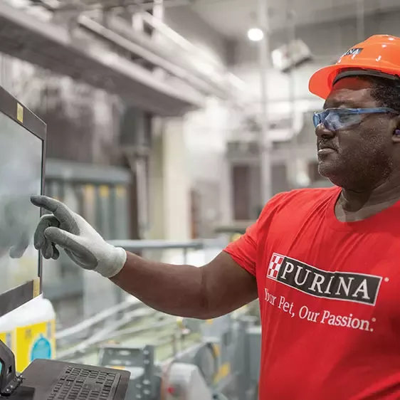 Discover our business strategy | Nestlé Global