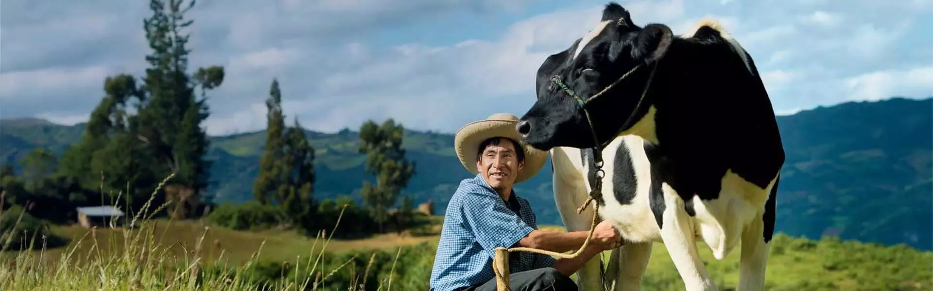 Nestlé purpose and values | Nestlé Global