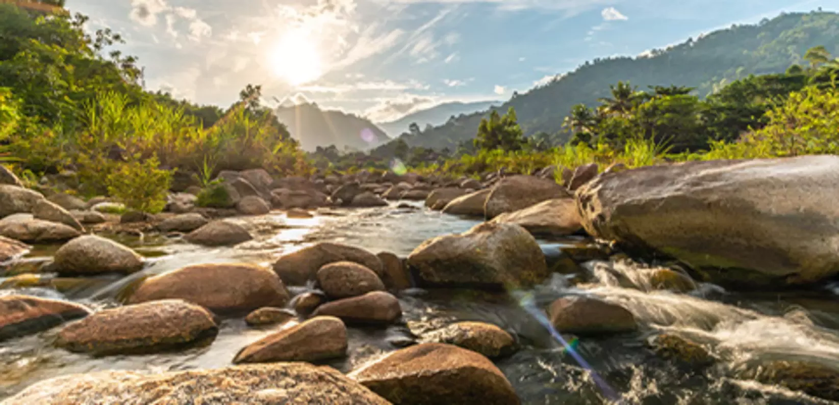 Helping to create a positive impact through our Nestlé Waters Pledge