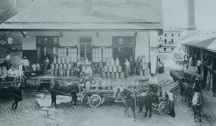 history of nestle company in short