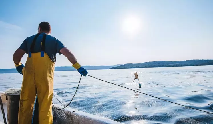Fish and seafood sourcing | Nestlé Global