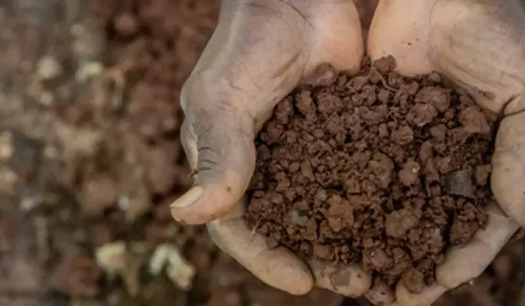 Cereal Supply Chain Management | Nestlé Global