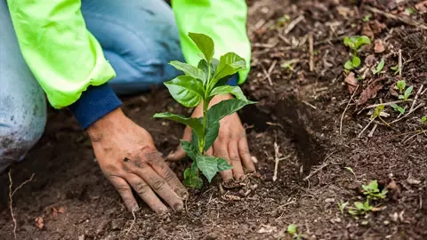 Nestlé purpose and values | Nestlé Global