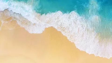 nestle-project-stop-teaser | Nestlé Global