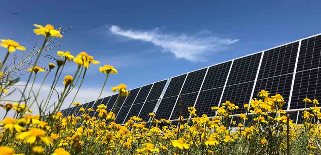 Nestlé invests to expand renewable energy availability | Nestlé Global